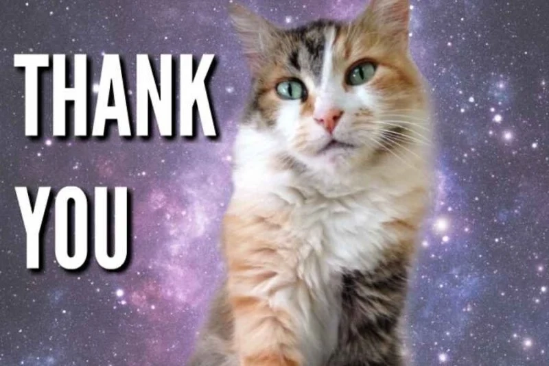 Meme Thank You H i H c Gi p B n Th Hi n L ng Bi t n Meme Thank You H i H c Gi p B n Th Hi n L ng Bi t n